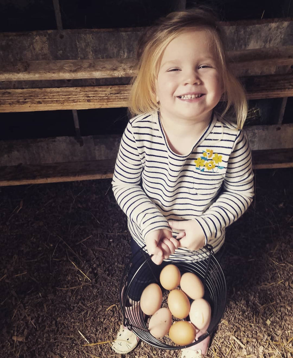 Pasture Raised Eggs – Rocky Ridge Farms